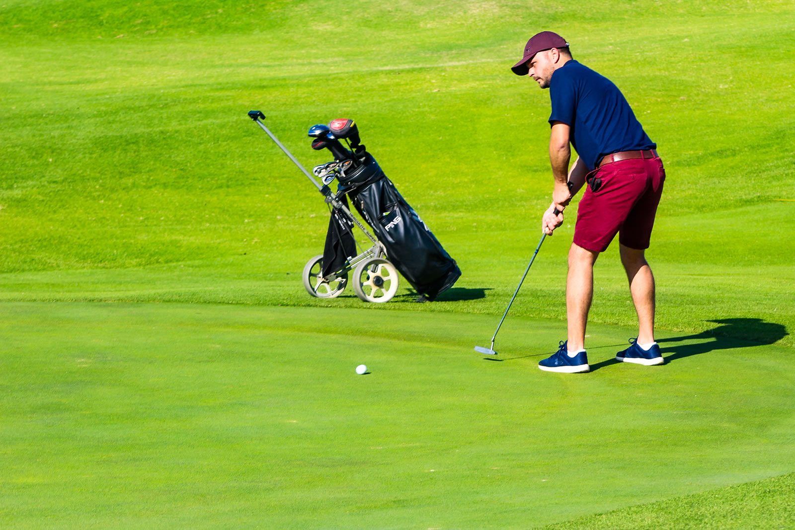 Mayoral Golf Day includes a team from Robberg Fine Foods