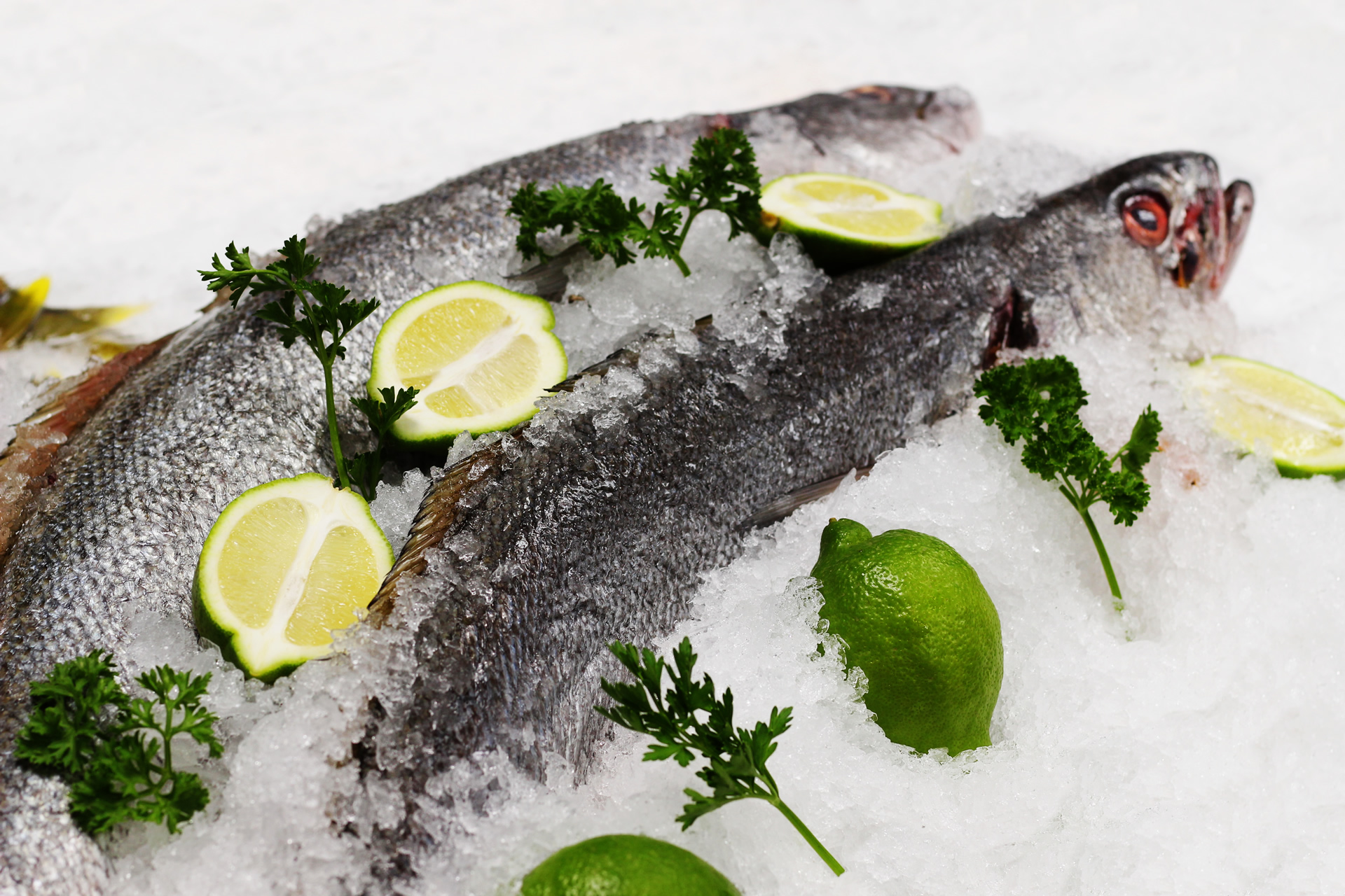 From the fish counter - Learn about fish species and how to prepare them