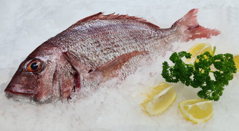 From the fish counter - Learn about fish species and how to prepare them