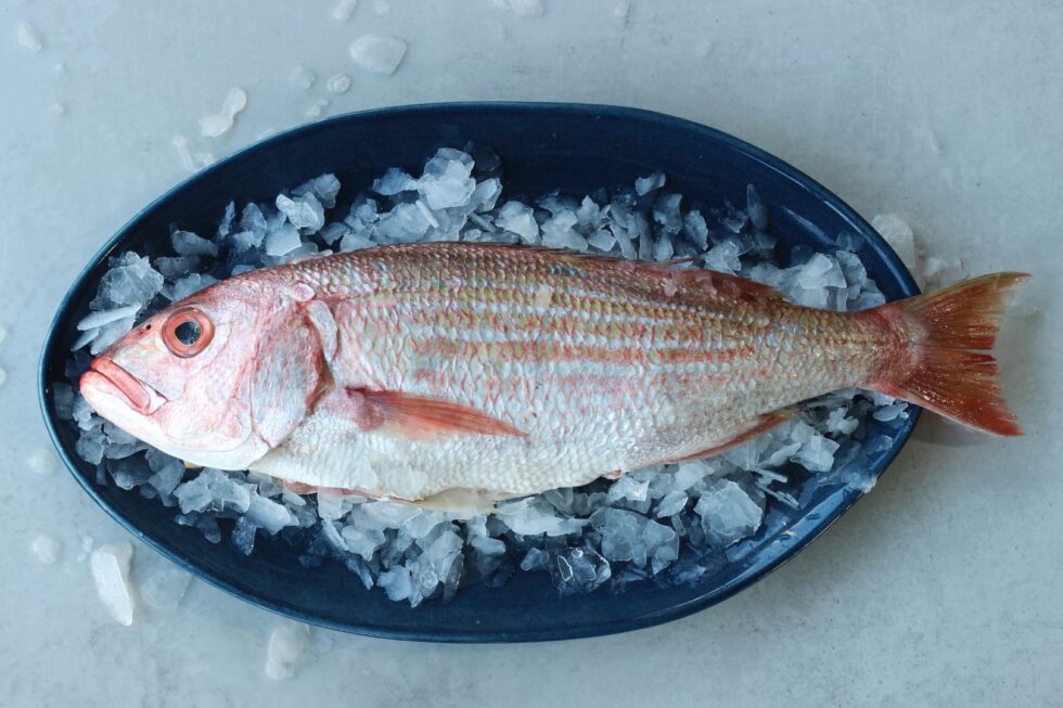 The Group - Robberg Fine Foods