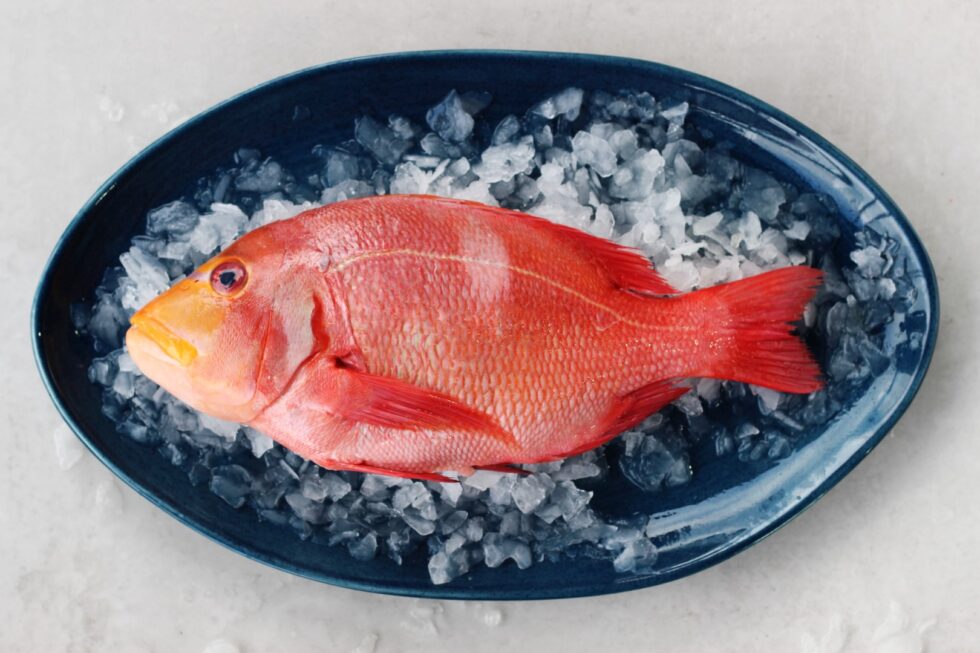 The Group - Robberg Fine Foods